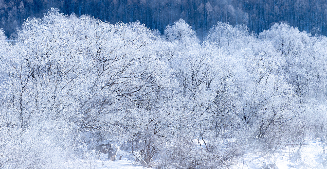 ABOUT US - LYRA by NOZO