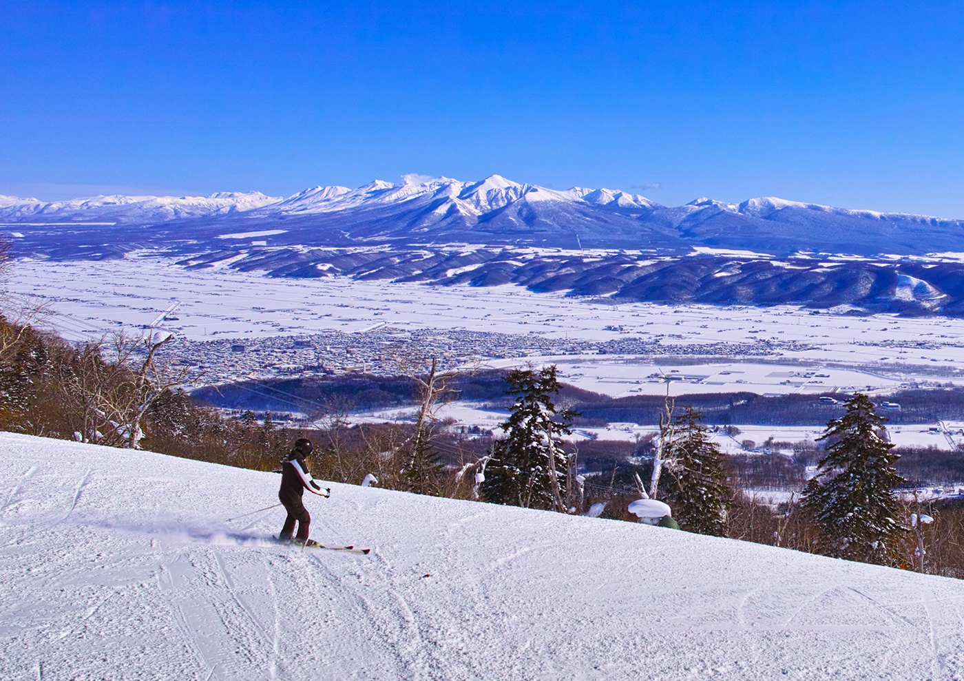 LOCATION - LYRA by NOZO